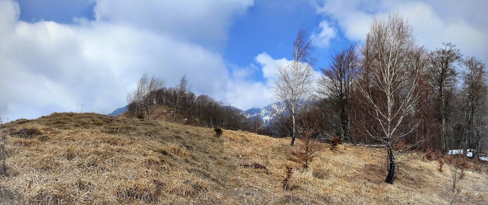 Steze In Sledi: Kamniški vrh