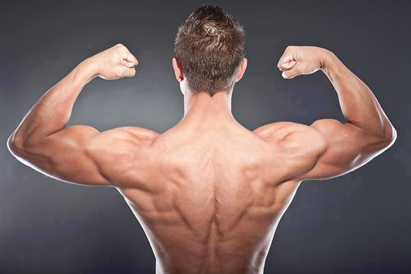 Sports et Santé: Musculation du dos, exercices pour muscler le dos