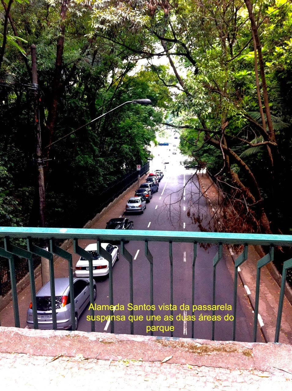 Parque Trianon ou Tenente Siqueira Campos em São Paulo ~ Áreas Verdes ...