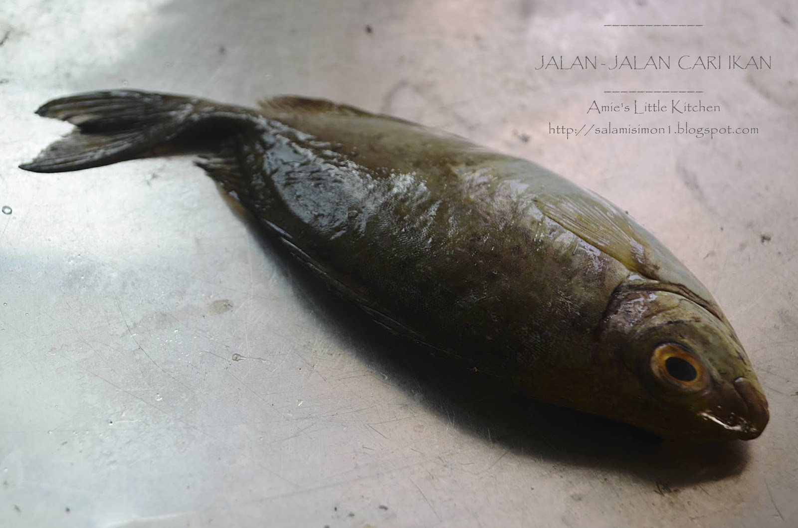 Di Mana Ada Air, Di Situ Ada Ikan. - Amie's Little Kitchen