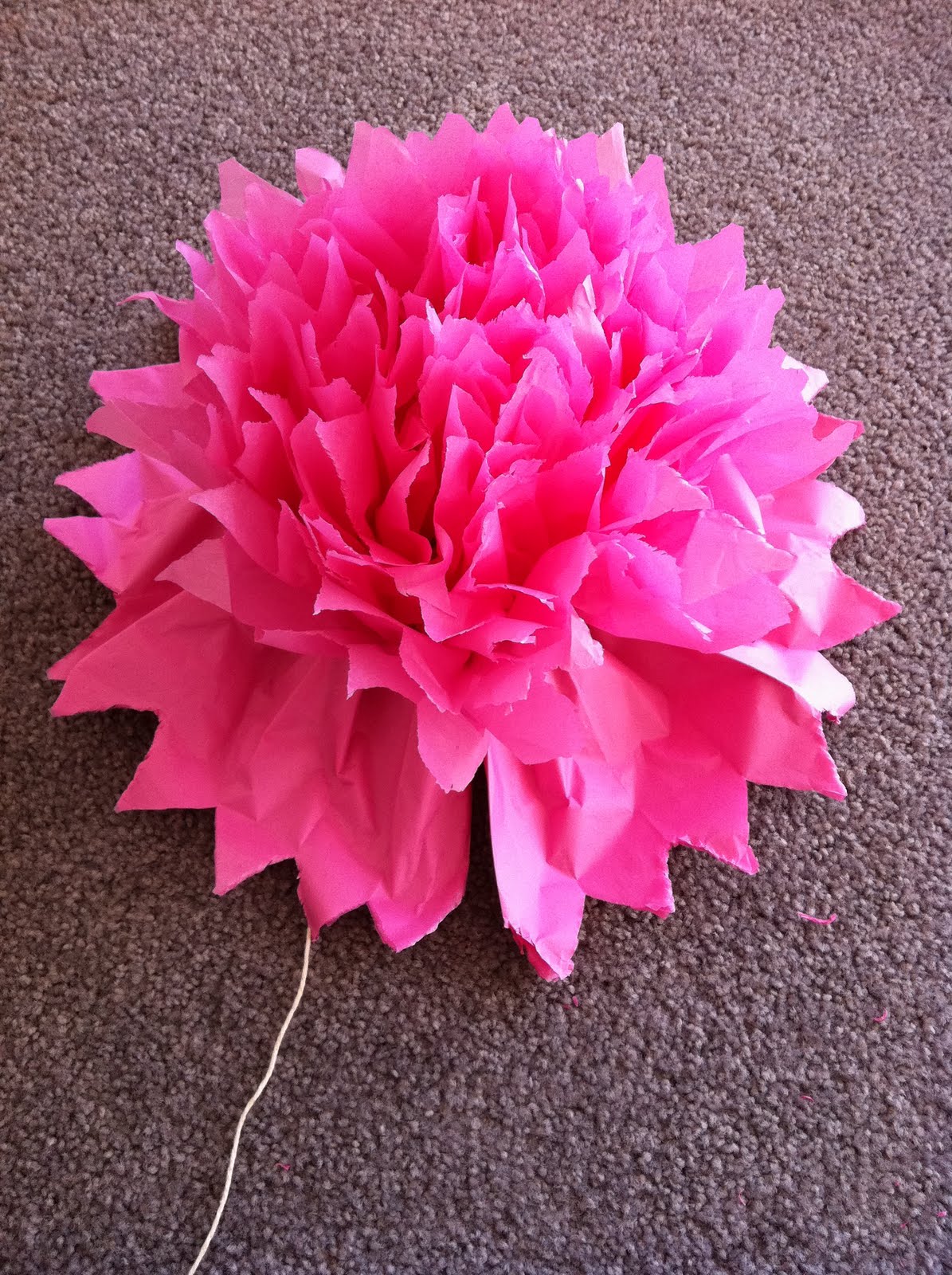 Winter Love: Pretty pretty Pom Pom.