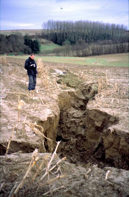 Landforms in the World: Erosion Landform ( 08.Gully )