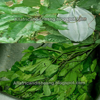 ALL AFRICAN DISHES: HEALTH BENEFITS OF UGU (PUMPKIN) LEAVES