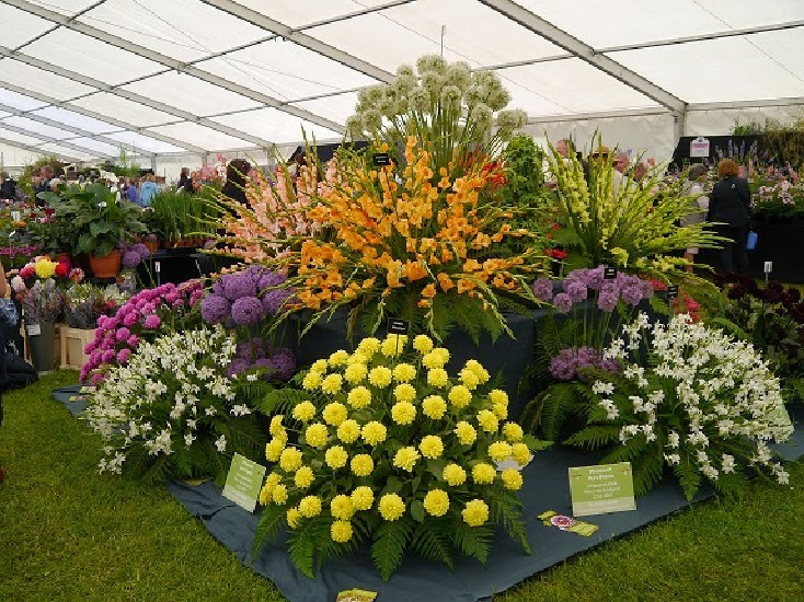 Treasure Houses of England: Blenheim Palace Flower Show is set to bloom