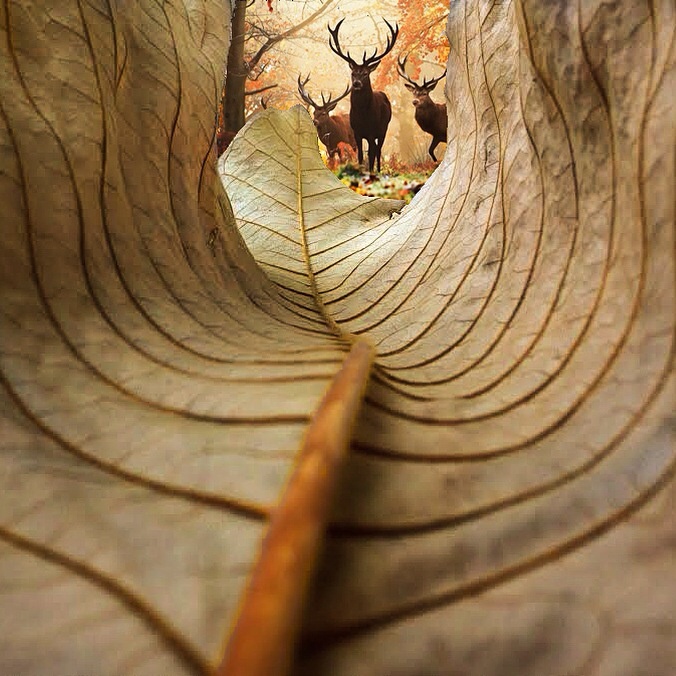 How amazing is this photo? Click here to view it full size. Photo by ...
