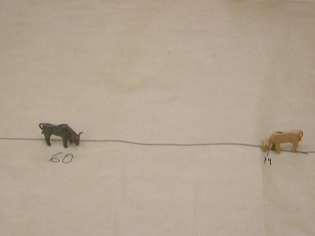 PuntMat: El bou i la vaca sobre la línia numèrica buida