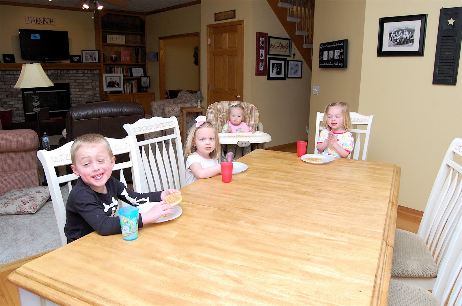 The Harnisch Family: Welcome to Holland