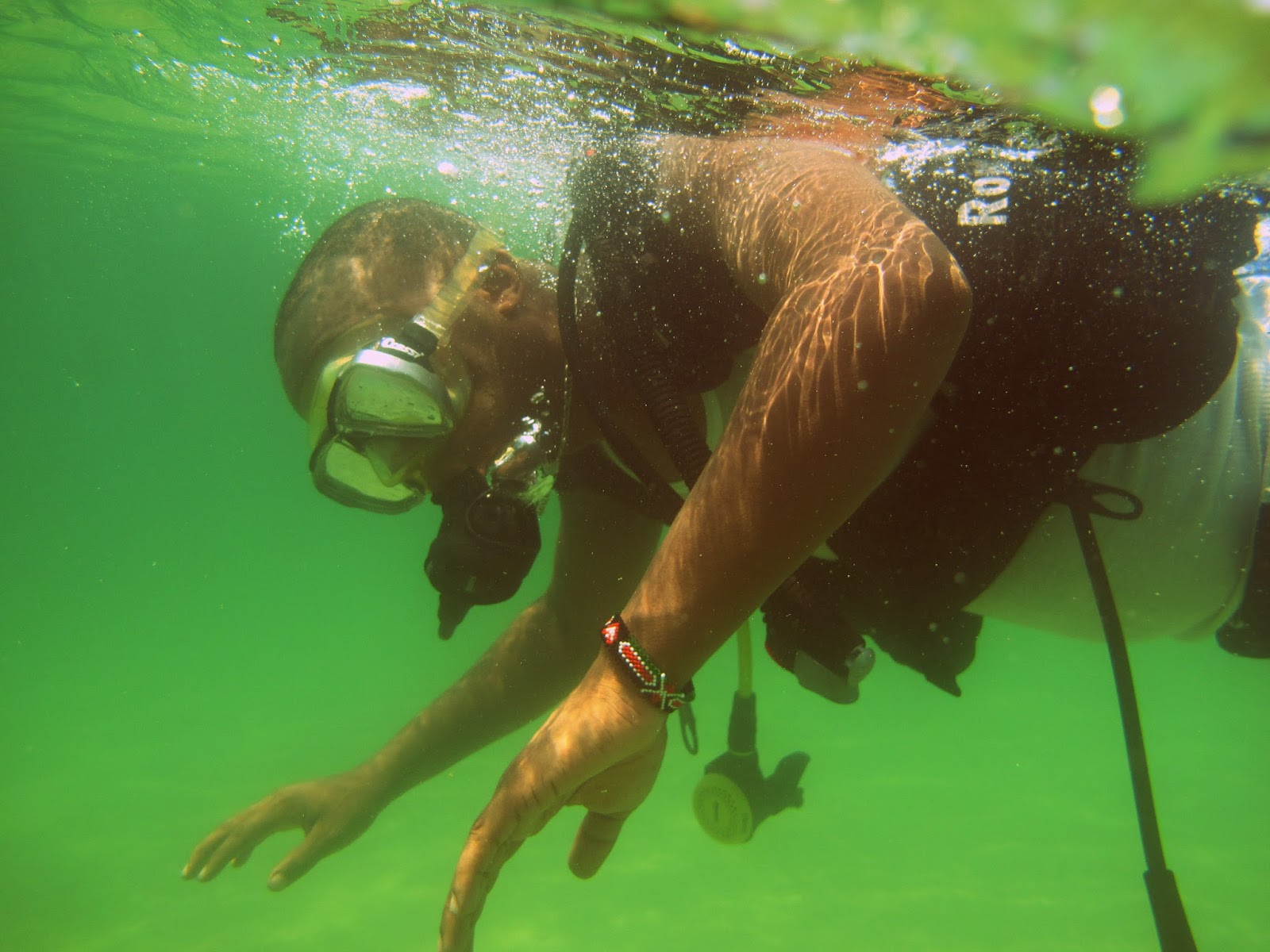 Sea Slug and the Turtle: August 2016