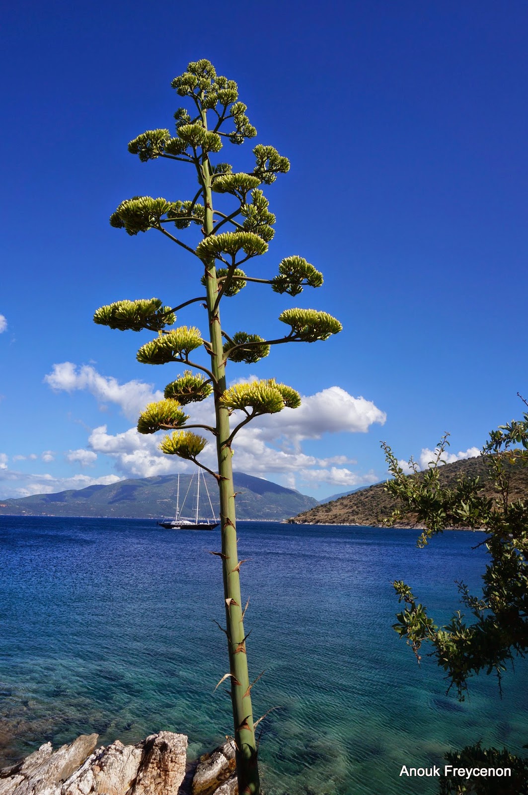 Global Greek World: Greece: 50+ Shades of Blue... Brilliant Hellenic Blue!