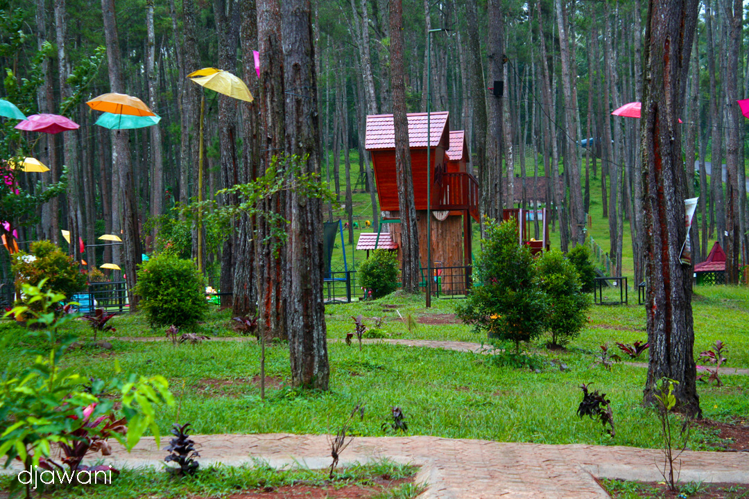 Kemit Forest Sidareja Cilacap Sudah Usang?