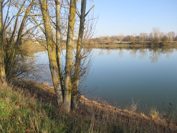 Sud-ouest Toulousain Randonnées: LONGAGES : Lac de la Linde