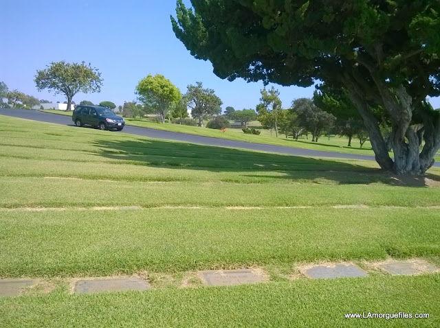 Los Angeles Morgue Files: "I Wake Up Screaming" Cinematographer Edward ...