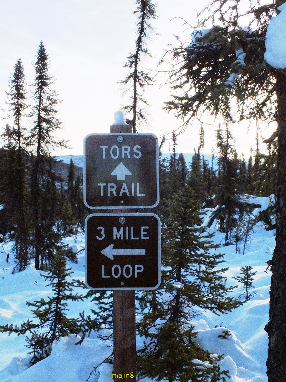 Imajin8: Let's Take a Tor!