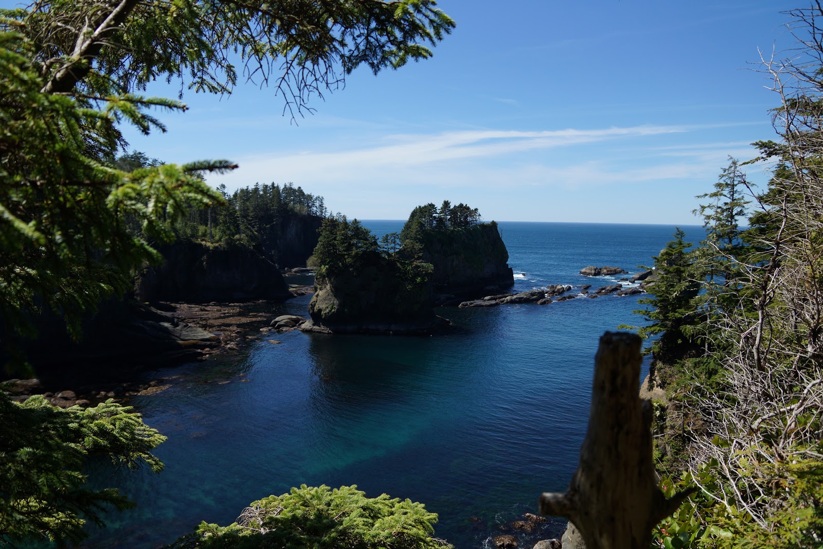 cape flattery and shi shi beach adventures - teacups and cinnamon