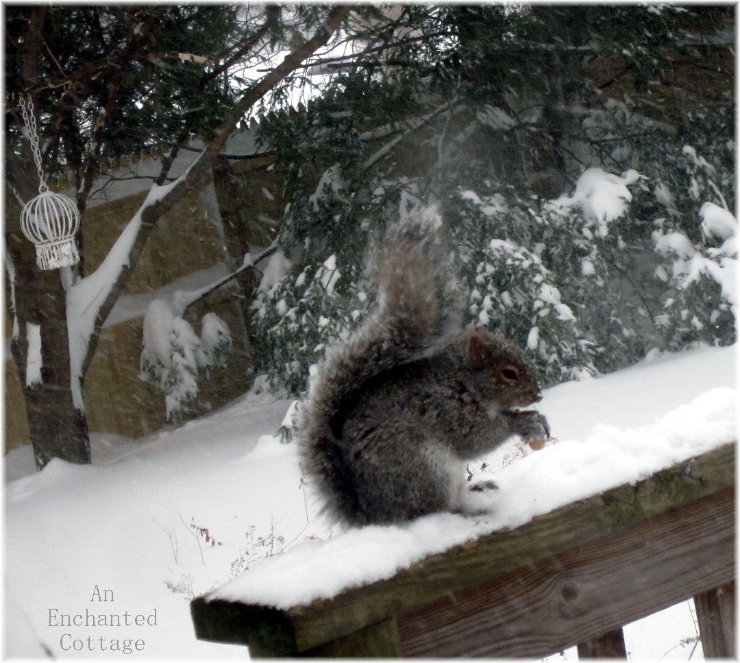 An Enchanted Cottage: The beauty of a blizzard...