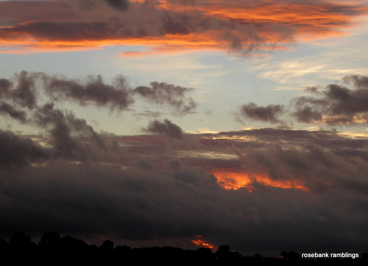 T h e R o s e b a n k D i a r i e s: the sweet calm sunshine of ...