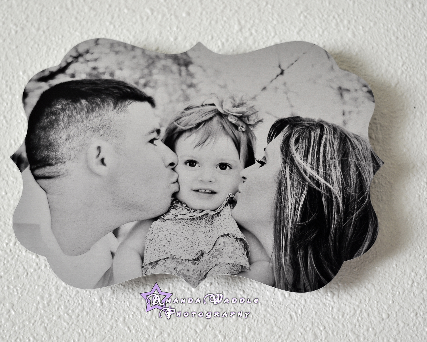 Amanda Waddle Photography: Metal print