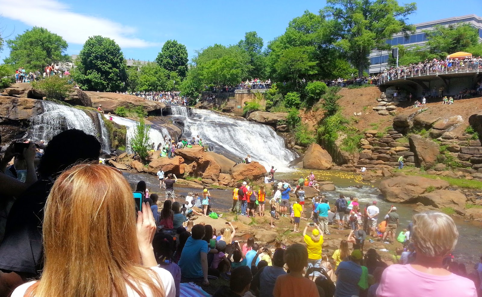 Femme au foyer: Cat in the Hat at Gunter Theater and a Reedy River Duck ...