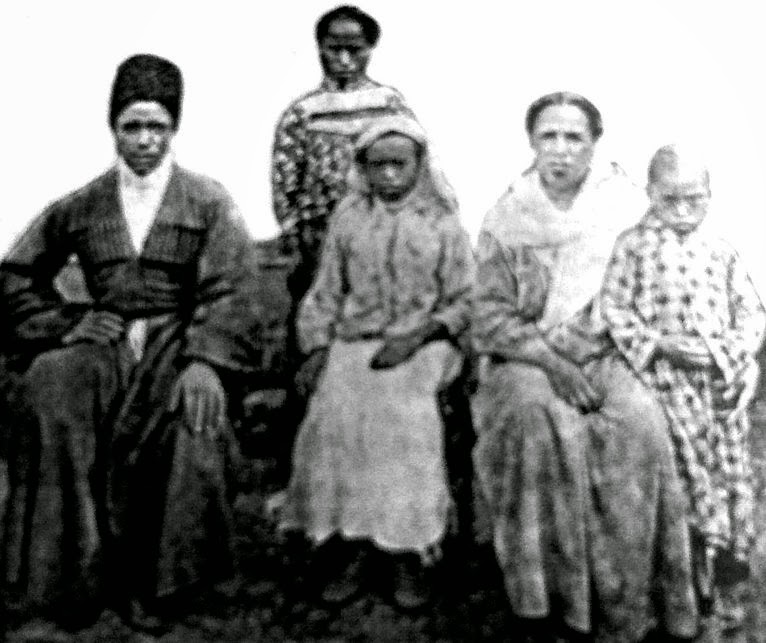 Criptozoología: Zana: ¿mujer-yeti del Caucaso(Almasty) o esclava Africana?