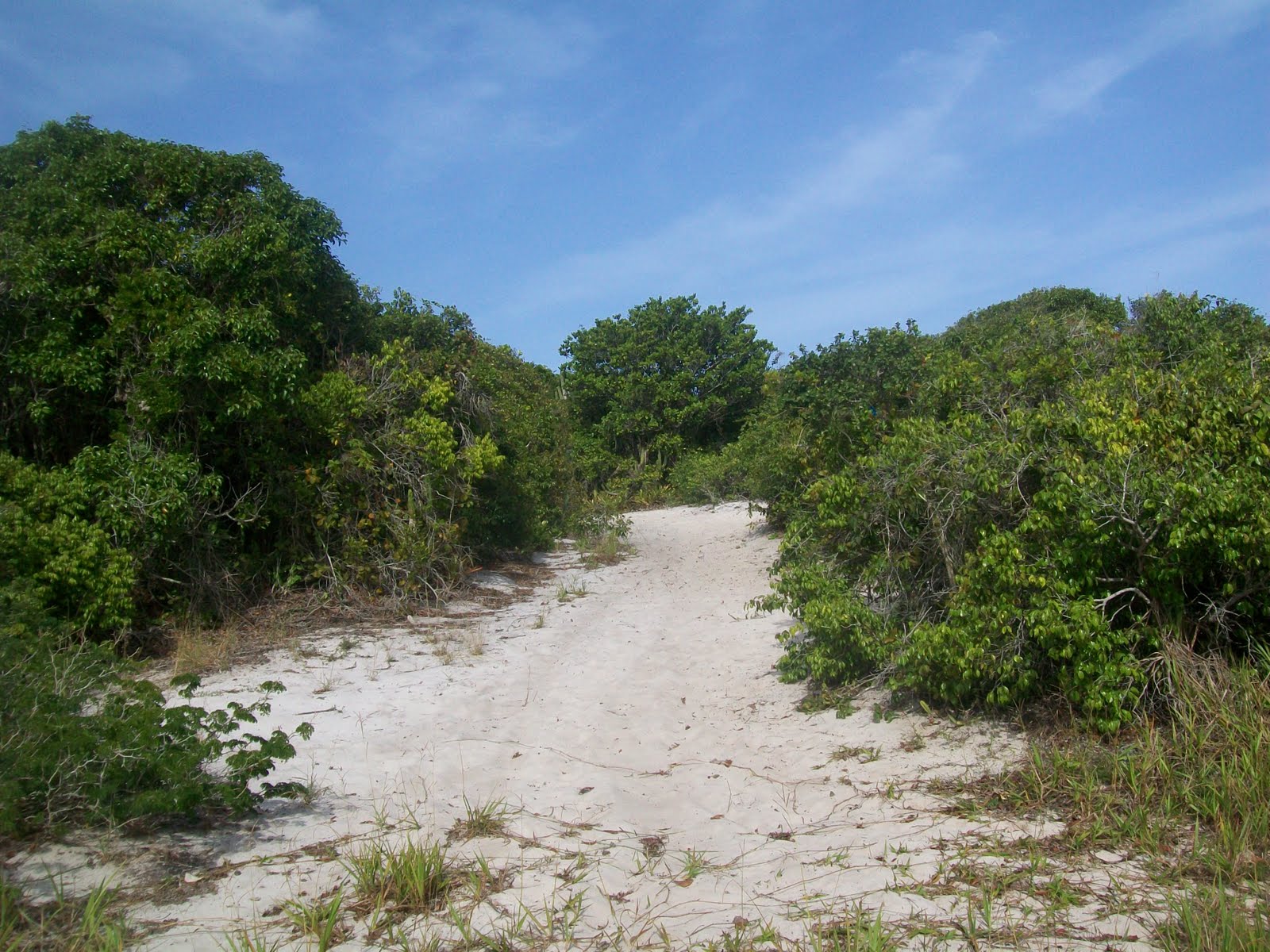 Maquaricá: A Importância da Restinga de Maricá