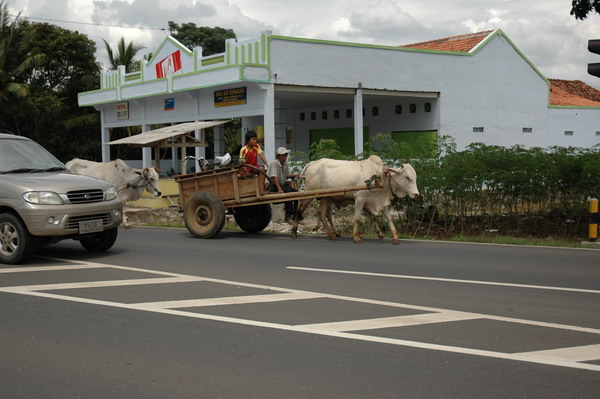 Gerobak Sapi ~ Budaya