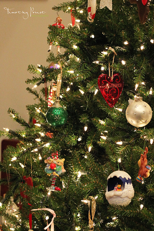 Timothy Prust Photography: Photographing Your Christmas Tree | Tutorial ...