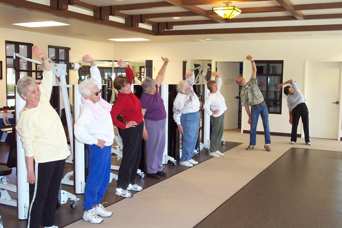 Sports and Community Physiotherapy: Exercise Combats Frailty: Physical ...