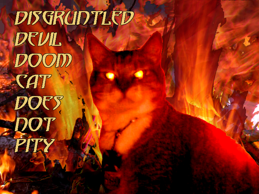 Demeur: Caturday and some more doom and gloom