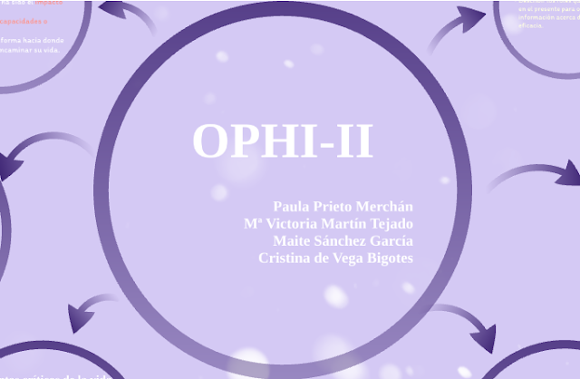 Entrevista Histórica del Desempeño Ocupacional II (OPHI II)