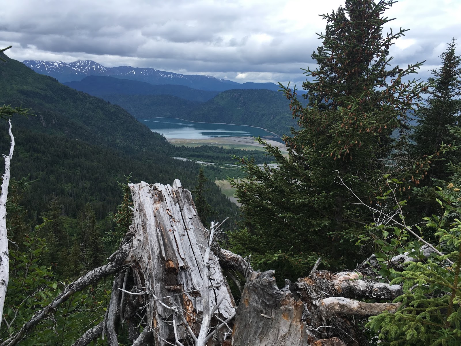 Life in Alaska — A View From Homer: Alpine Ridge Trail