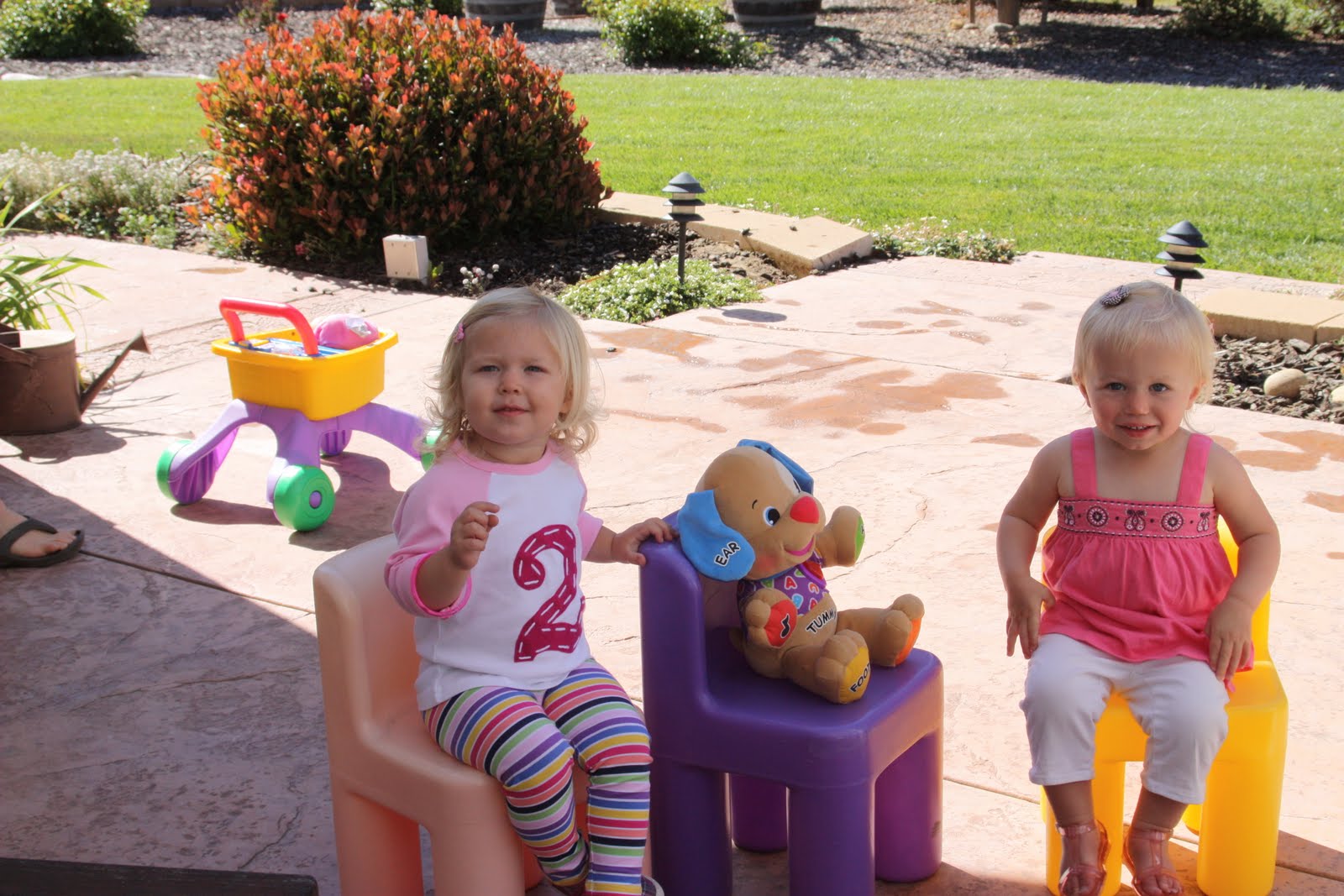 A Joyful Girl...: Olivia's 2nd Birthday {Party}