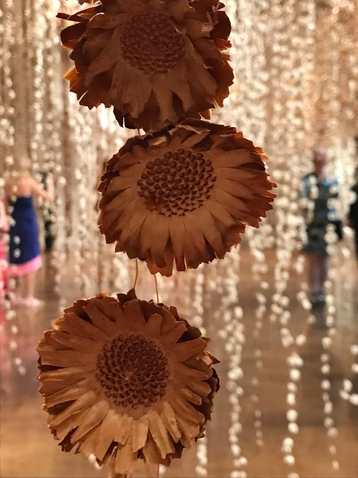 Jeanne Rhea: Changes and Moving Forward