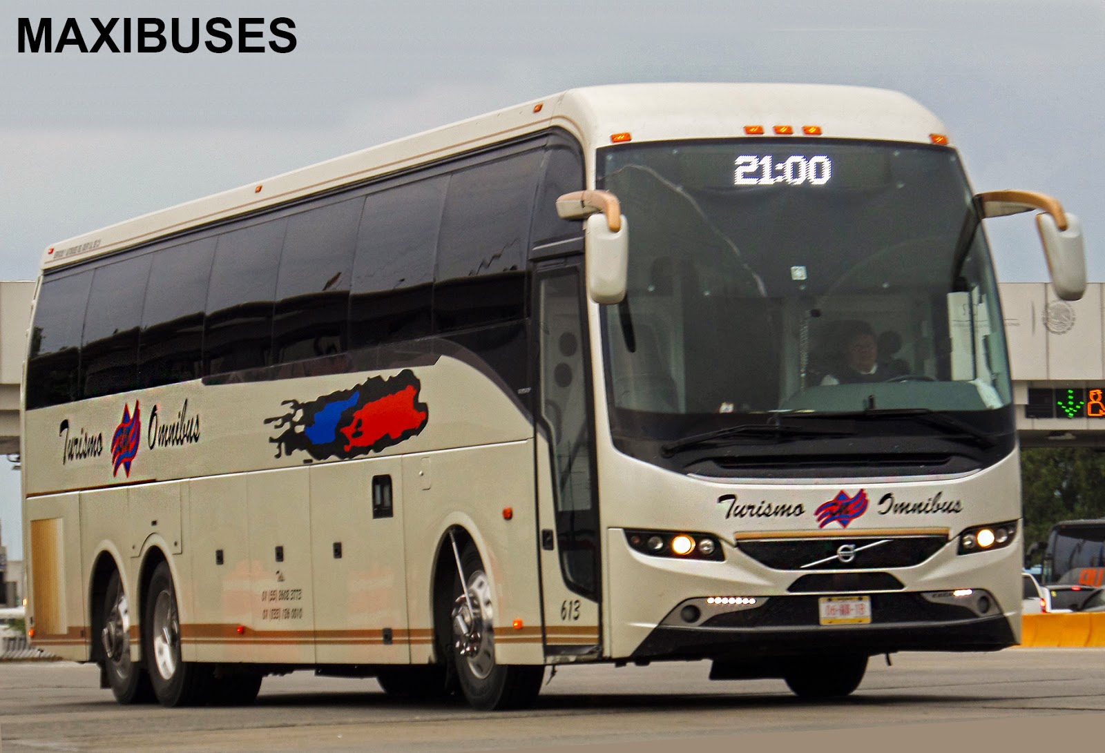 MAXIBUSES: AUTOBUSES TURISMO EN OMNIBUS (TURISMO)