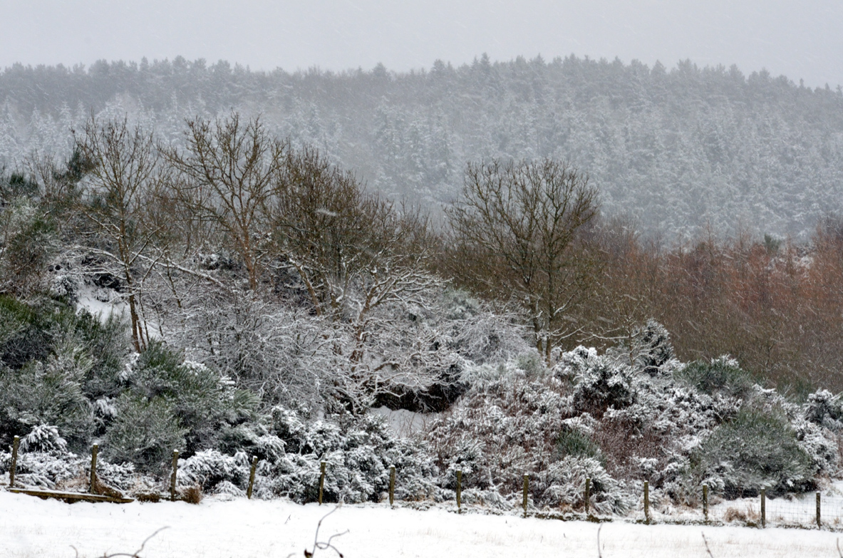 North Fife: Snow Flisk North Fife 2013