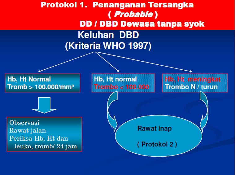 LuNaR: Demam Berdarah Dengue (Dengue Heat Fever) Pada Dewasa