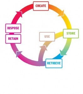 The Records Management Apprentice: Records Management Plan