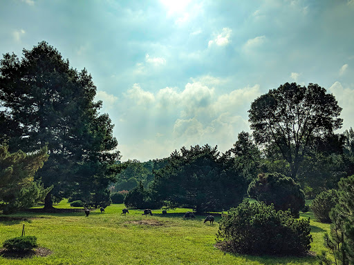 Wisconsin Explorer: UW Arboretum Hiking Trails