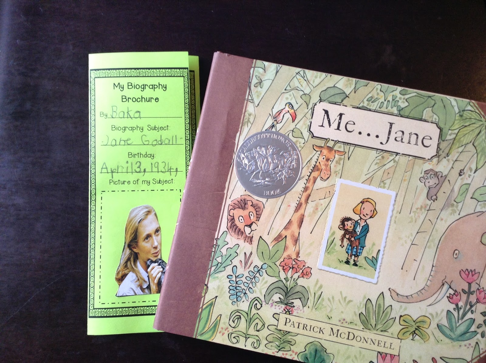 TeacherMomPlus3: Jane Goodall Biography Brochure