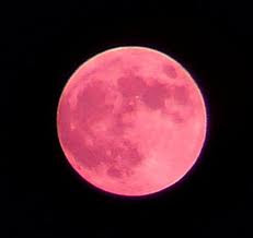 ~Whimsical Moon~: Raspberry Moon~
