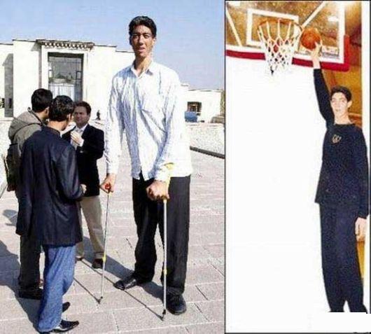 World's Longest Man Wallpapers (29 Pics)