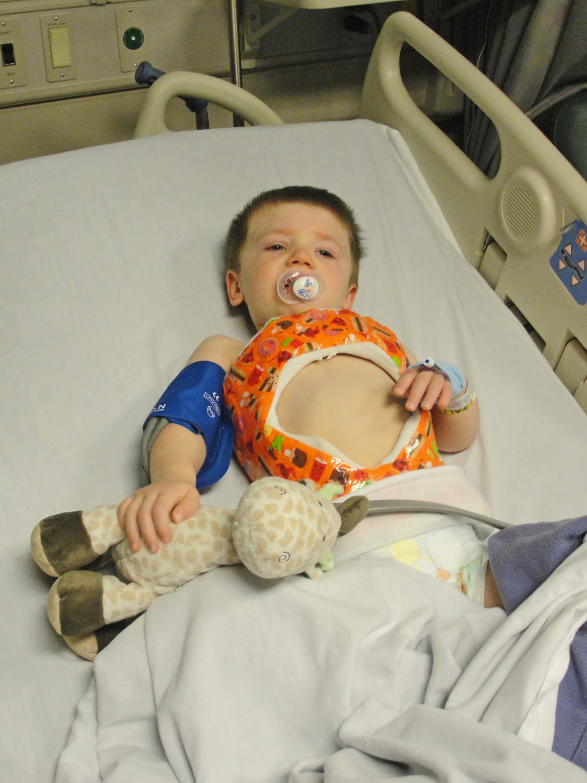 journeys with jax and oliver: Jackson's 7th Mehta Casting