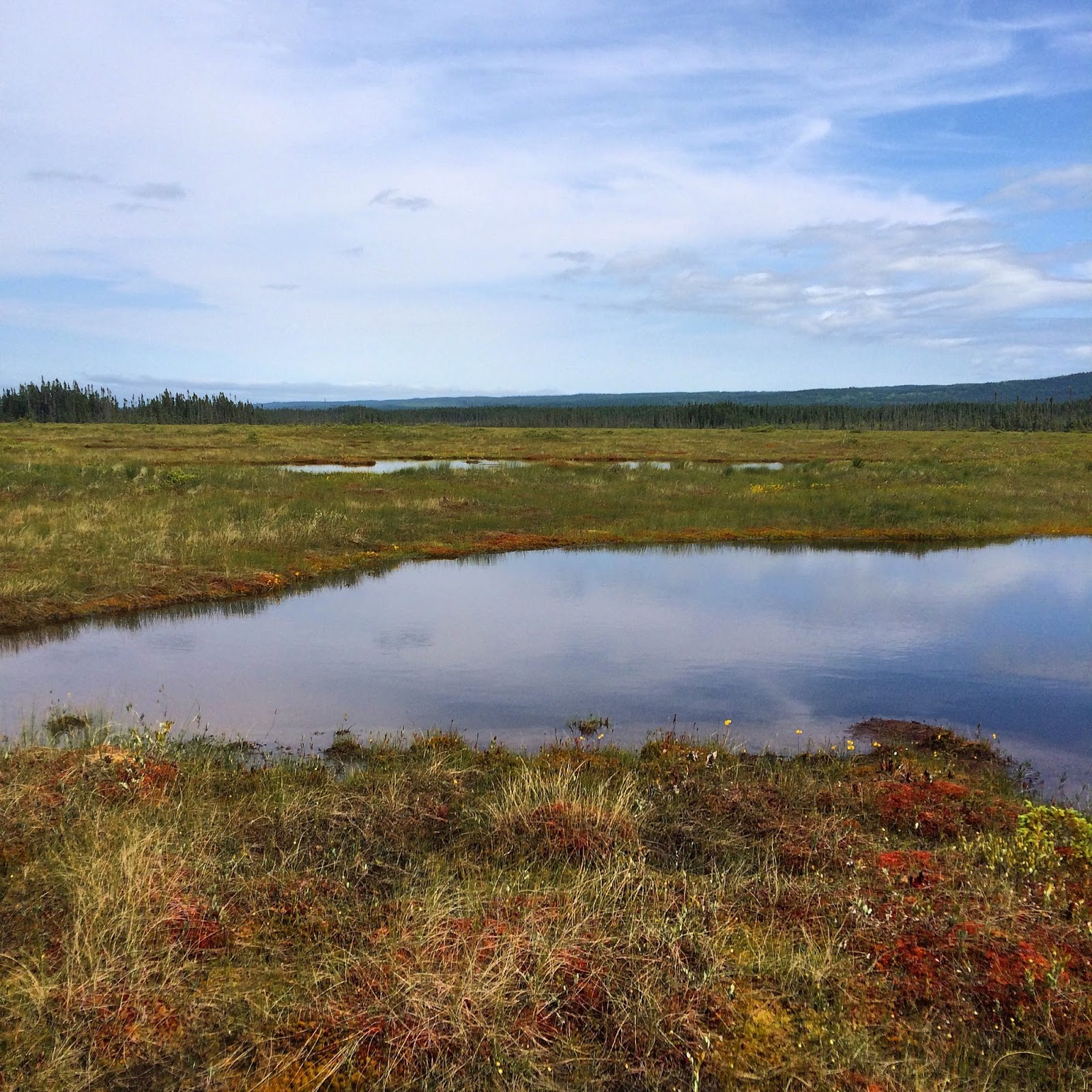 Stewardship Association of Municipalities: Know your Wetlands Classes ...