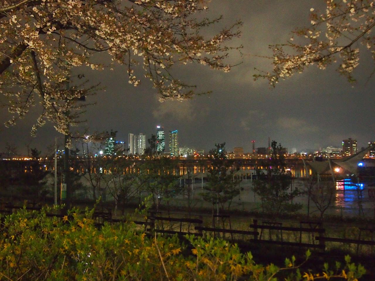 Moments in the Journey of Life : Spring in Seoul : Hangang Yeouido ...