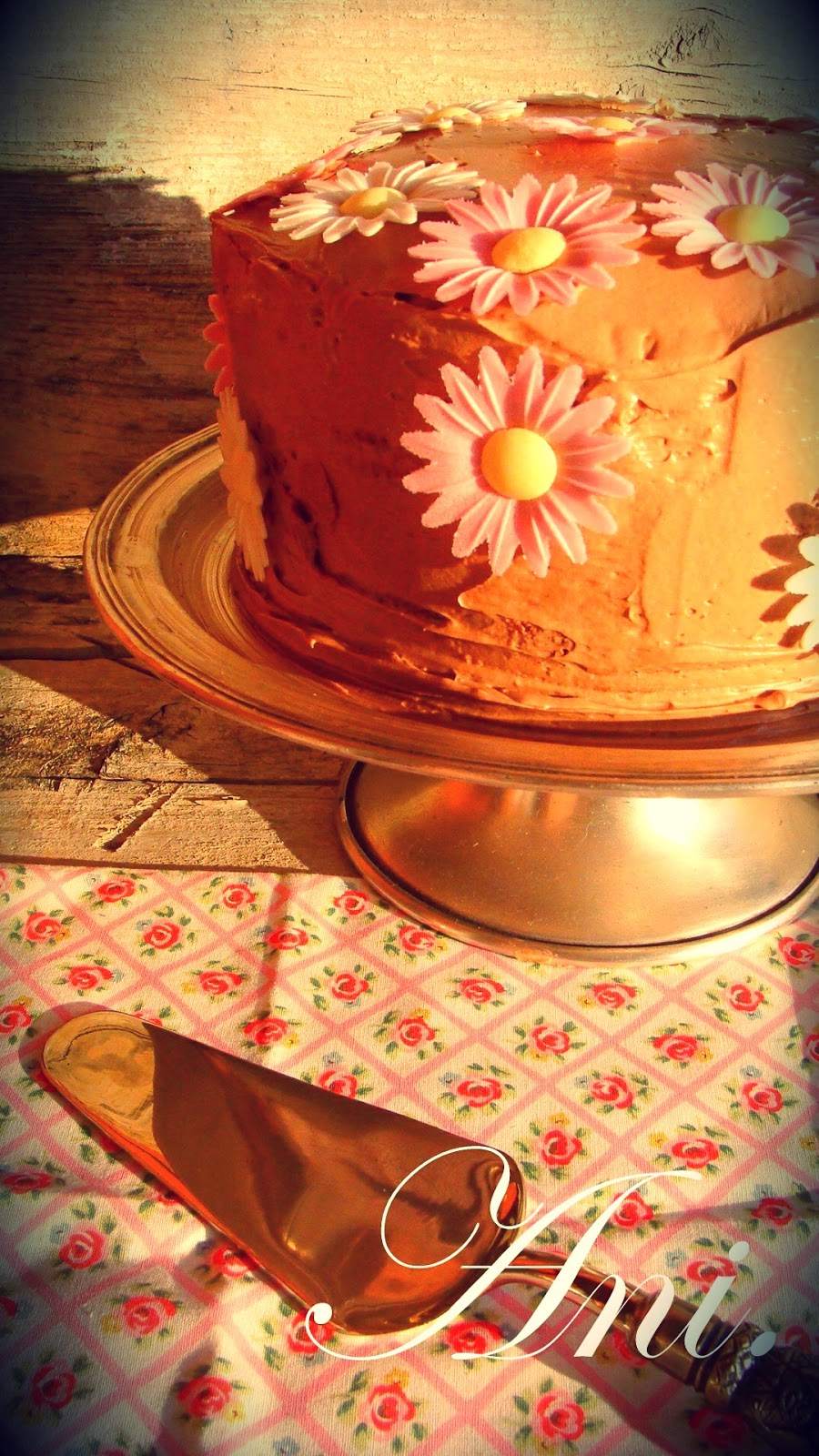 La Cocina de Ani: Layer cake de nutella