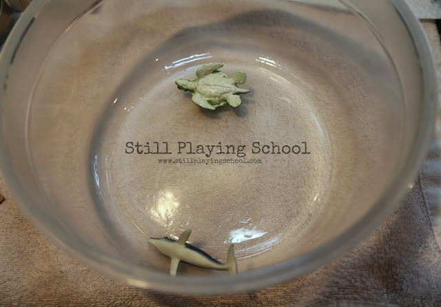 Jello Ocean Sensory Exploration | Still Playing School