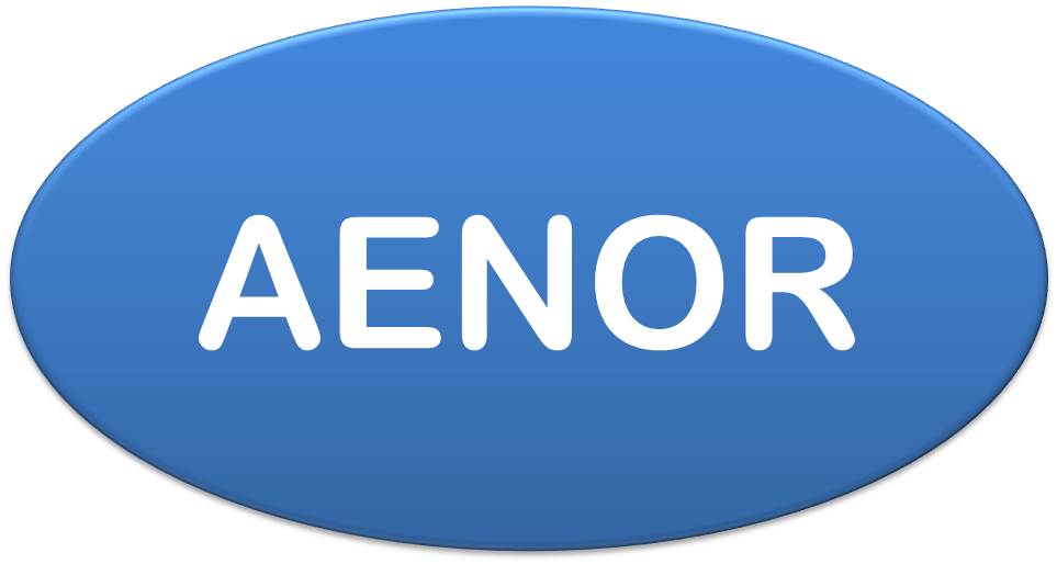 CURSO RITE-2007 - REGLAMENTO: AENOR