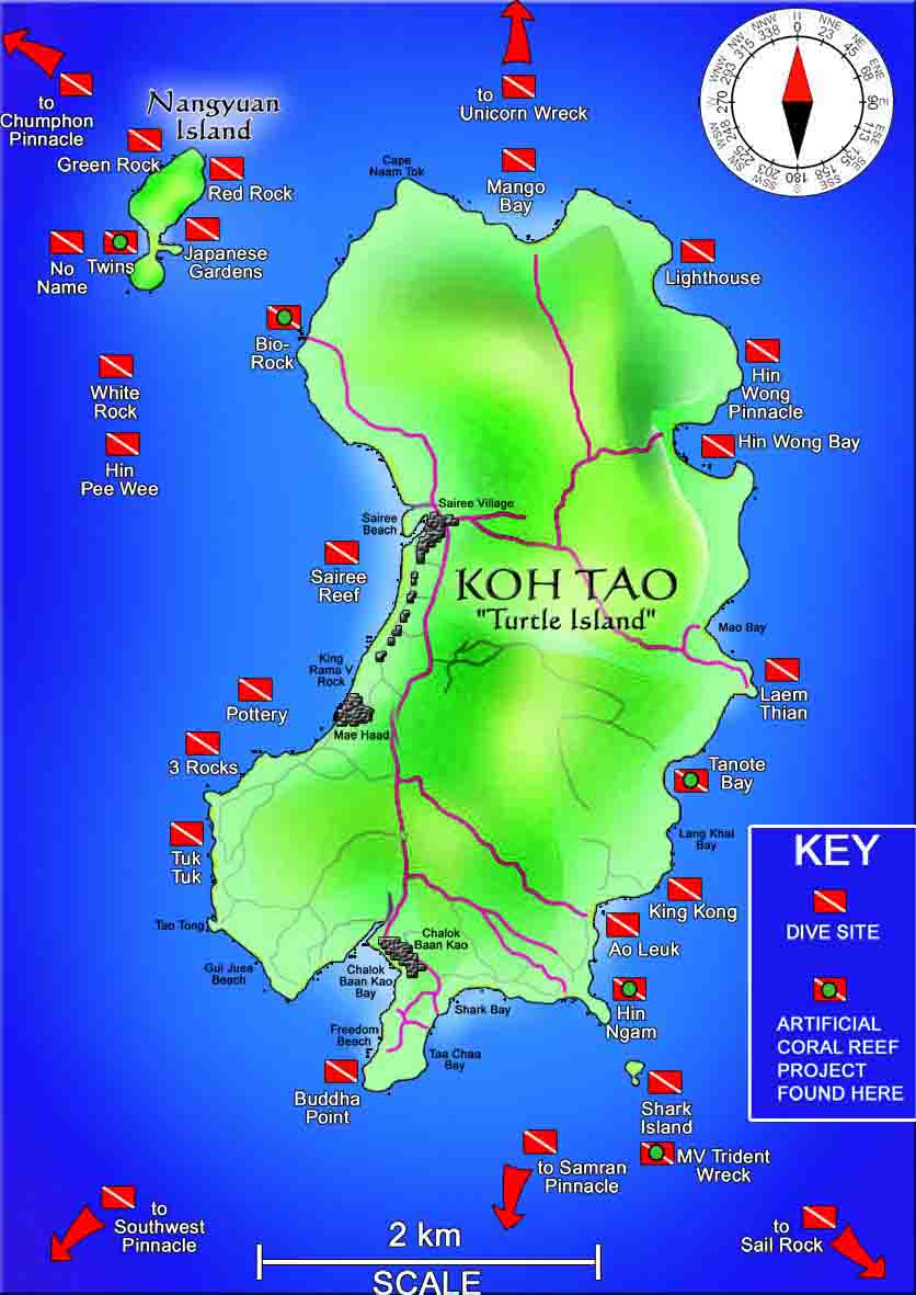 Koh Tao & Koh Nang Yuan | Calypso Koh Samui Diving Snorkeling & more