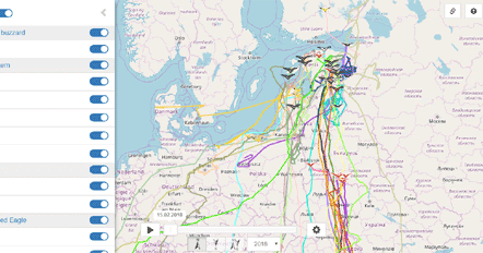 Nag on the Lake: Mapping Bird Migration Routes