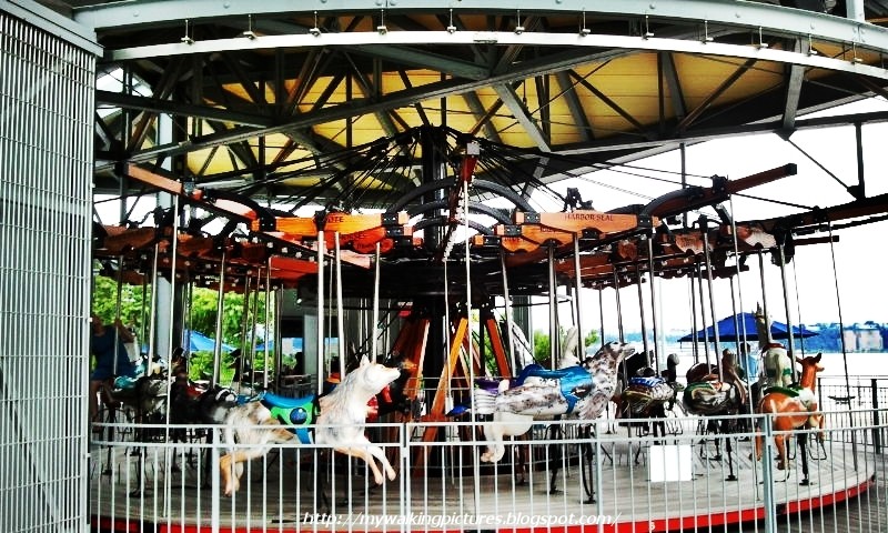 My Walking Pictures: Pier 62 Carousel and Gardens