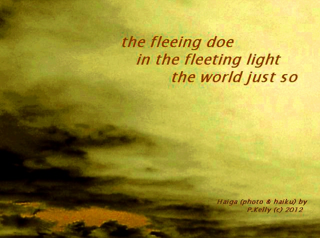 Roswila's Dream & Poetry Realm: DREAM HAIGA (haiku & photo) by Roswila